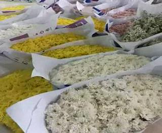 Jual Bunga Aster Jimla Gabungan/100 Batang atau 10 ikat Untuk Papan ...