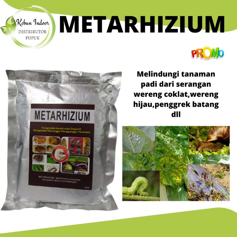 Pembasmi Serangga Paling Ampuh - Homecare24