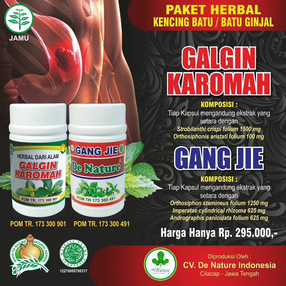 Jual OBAT PENGHANCUR BATU EMPEDU-OBAT RADANG SALURAN KEMIH-OBAT GAGAL GINJAL-OBAT BATU EMPEDU ...