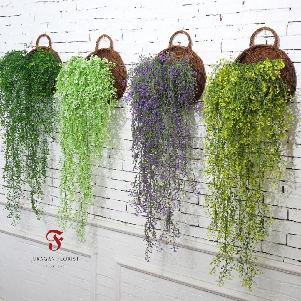 Jual DAUN ADMIRALTY / Daun Rambat Sintesis Tanaman Hias Indoor Pot ...