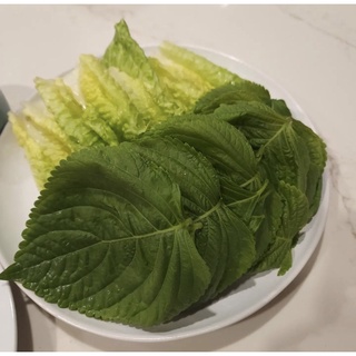 Jual Daun Wijen Korea Korean Bbq Perilla Shiso Sesame Leaf Kkaennip ...
