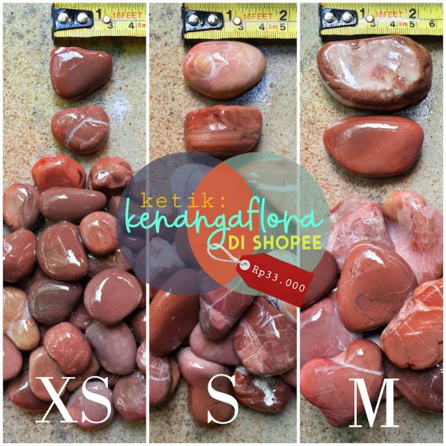 Jual BATU KORAL MERAH HATI 10 kg | Shopee Indonesia