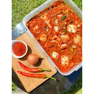 Jual Fresh Kimchi sawi/ Kimchi Halal / Kimchi authentic Korea / Korean ...