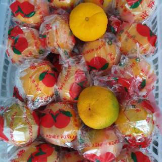 Jual Jeruk Honey Ponkan Ponkam Mandarin Fresh Per Dus Indonesia|Shopee ...