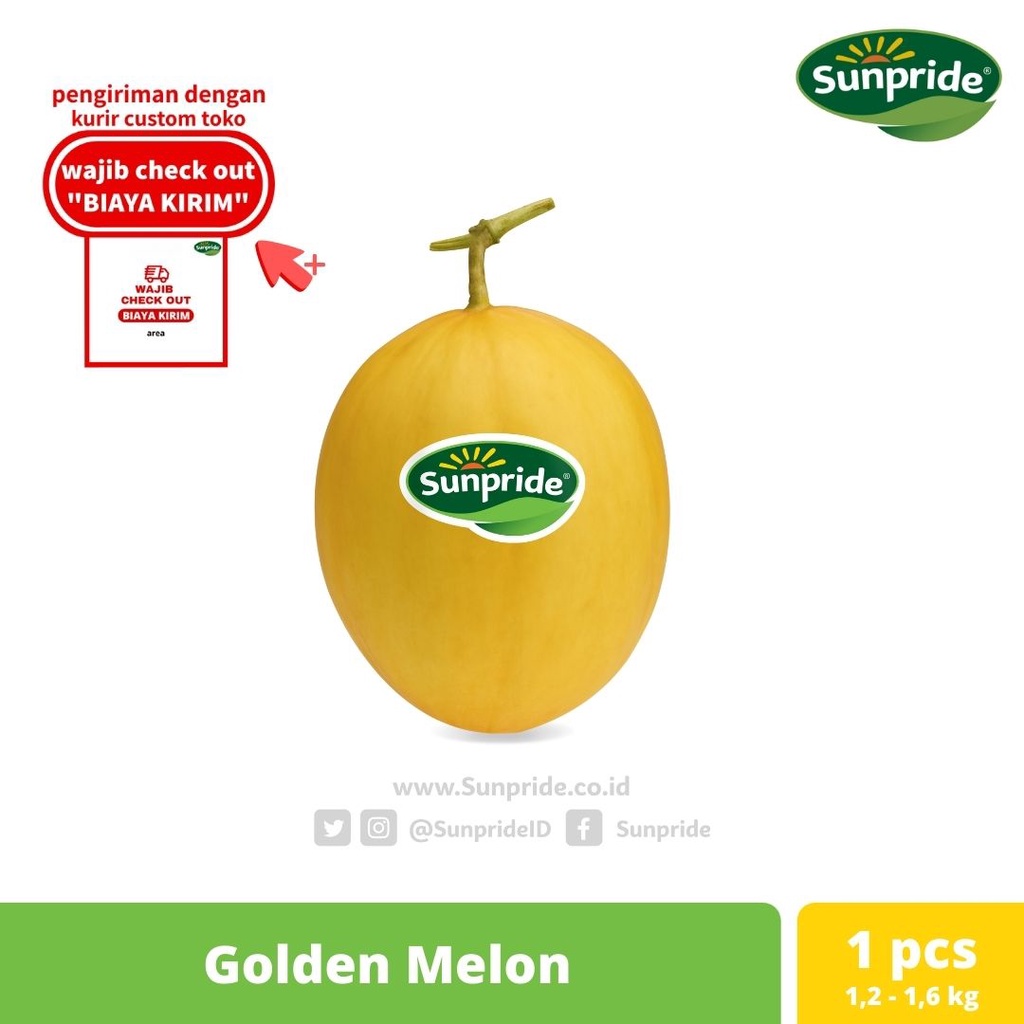 Jual Sunpride - Golden Melon [per pcs] | Shopee Indonesia