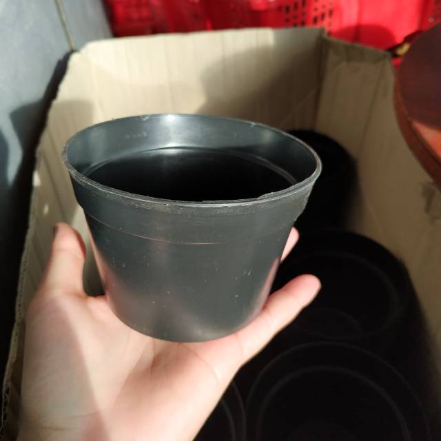 Jual Pot 10cm | Shopee Indonesia