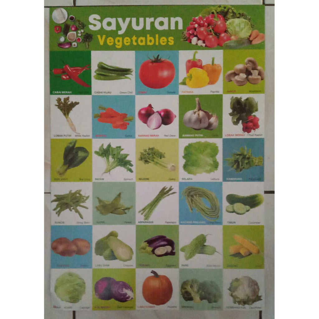 Poster Tema Sayur-sayuran | Shopee Indonesia