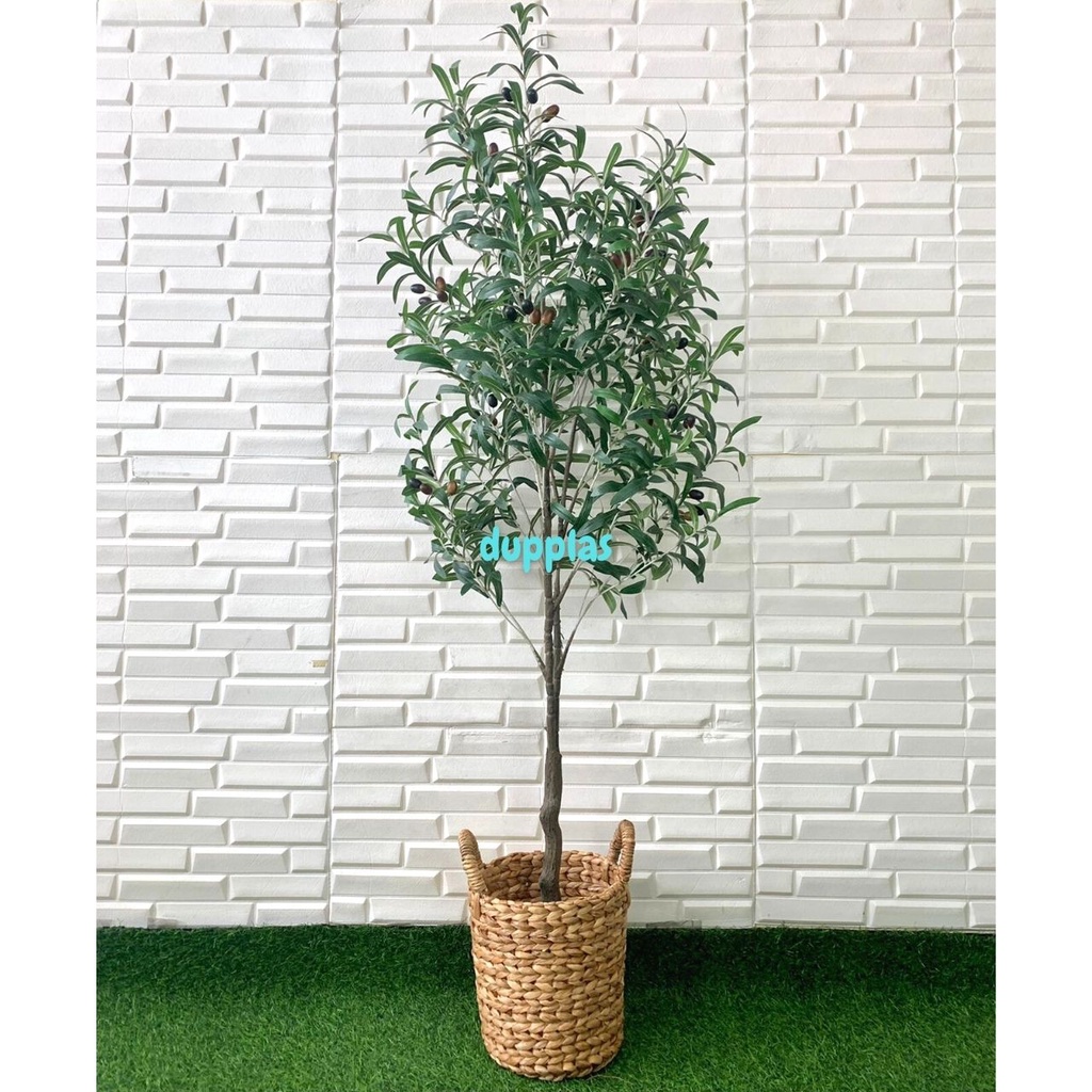 Jual Pohon Daun Zaitun Olive Tree T150 Artificial Cover Pot Eceng ...