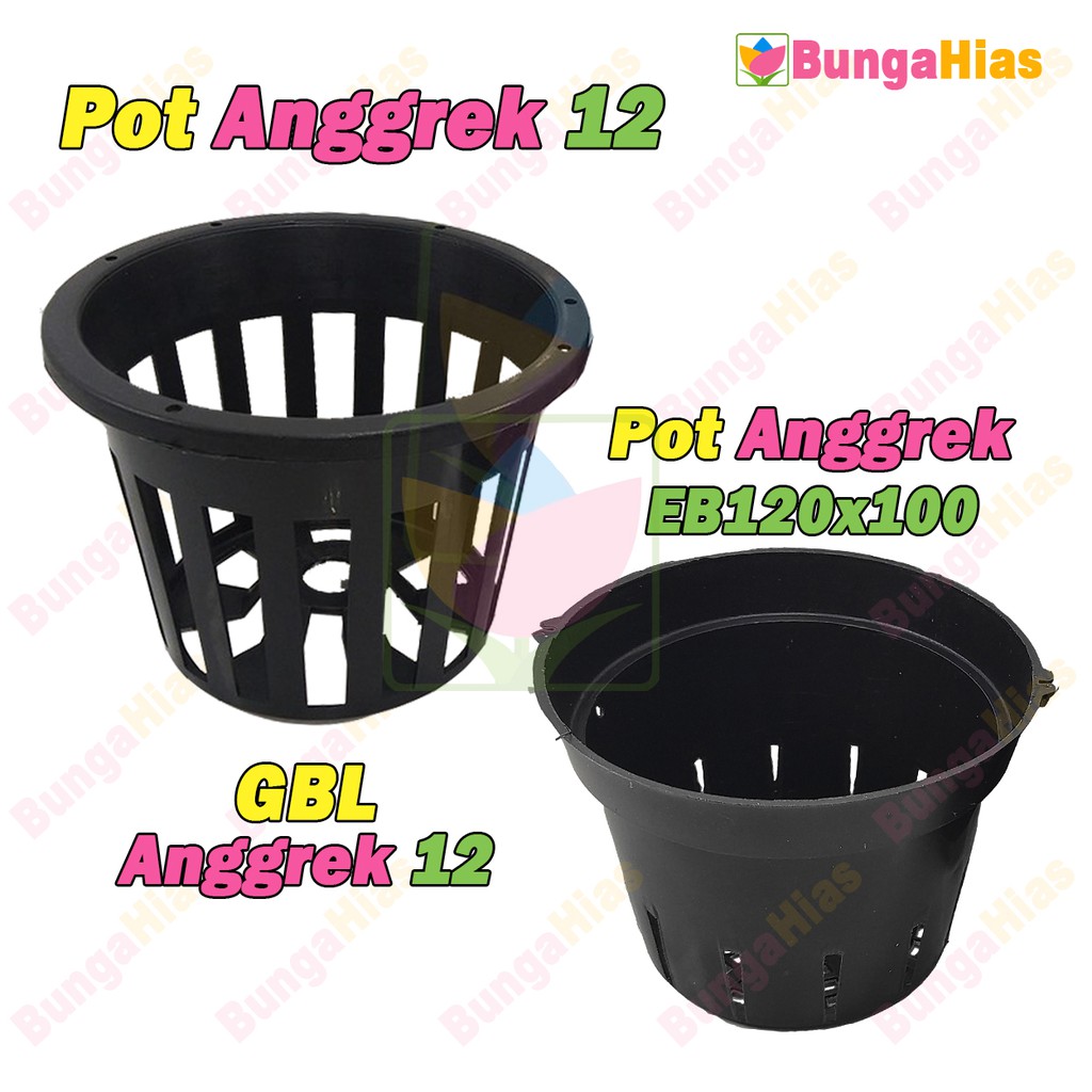 Jual Pot Anggrek 12 Cm | Pot Hidroponik Tanaman Hias dan Bunga | Pot ...