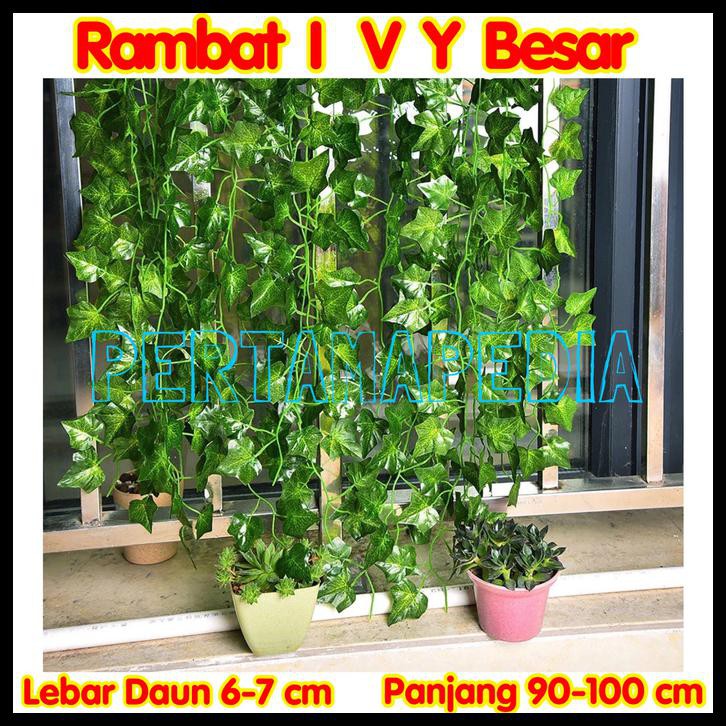 Jual Daun Rambat Plastik/ Daun Rambat Palsu/ Daun Rambat Dekorasi ...