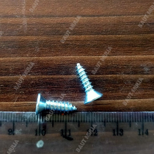 SEKRUP FH 4X 5/8" 1.5 CM ISI 10 PCS / BAUT TAPPING JF KEPALA BULAT ...