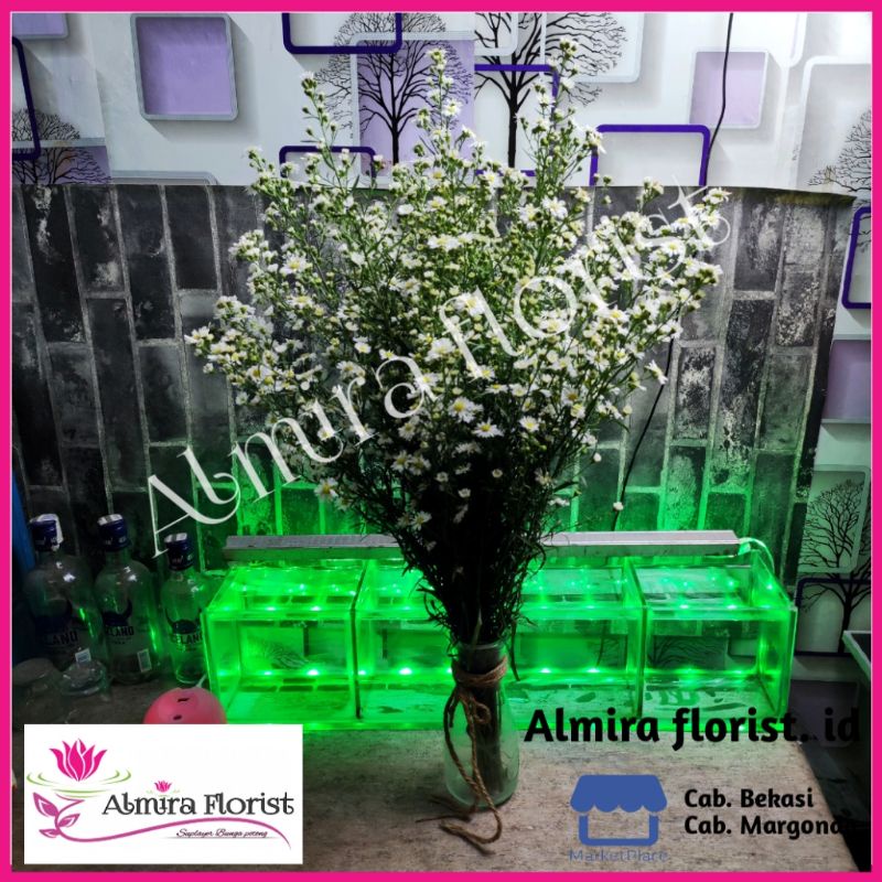 Jual Bunga Pikok bunga peacok asli segar per ikat (10 tangkai) | Shopee ...