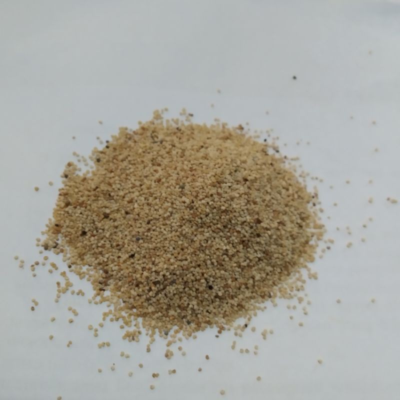 Harga Kaskas Terbaru Agustus 2023 |BigGo Indonesia