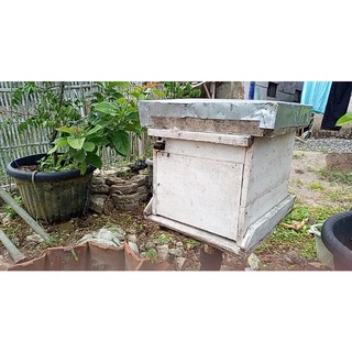 Jual stup atau kandang lebah madu lokal | Shopee Indonesia