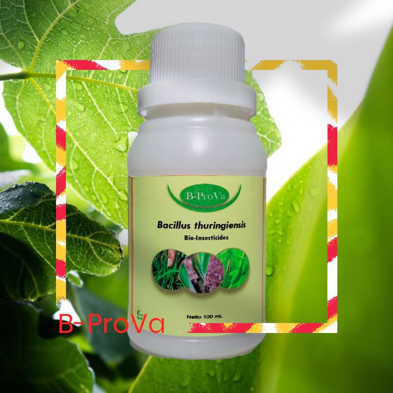 Jual [B-PROVA] ISOLAT Bacillus thuringiensis Media Cair | Shopee Indonesia