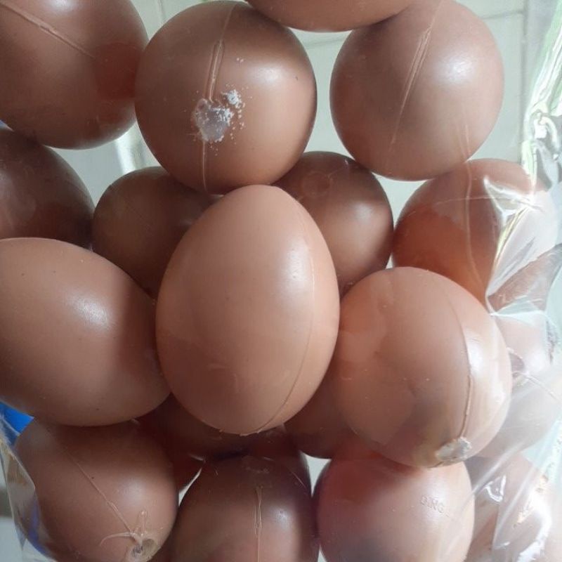Jual telor plastik ada isi | Shopee Indonesia