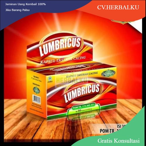 Jual Kapsul Ekstra Cacing Lumbricus Darusyifa Obat TYPUS Dan Demam ...