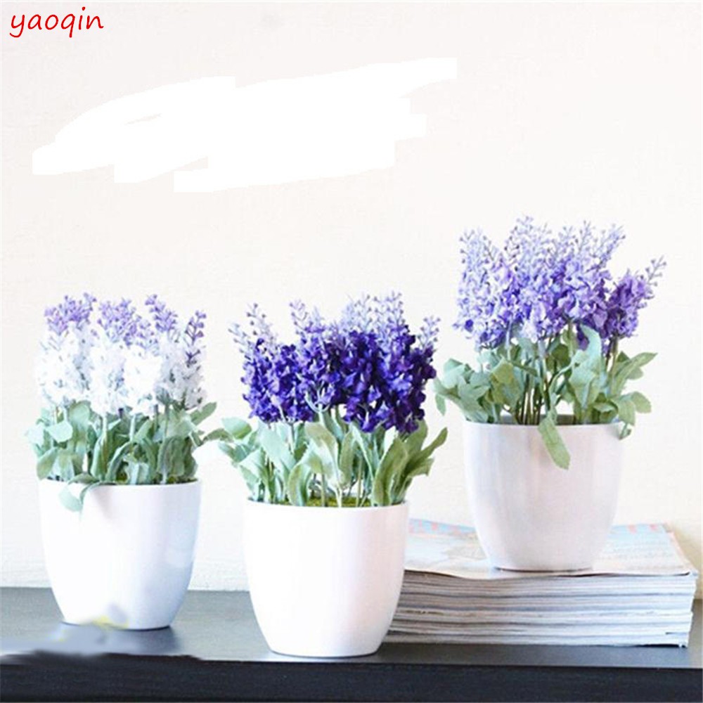 26+ Contoh Bunga Lavender Terbaik - Informasi Seputar Tanaman Hias