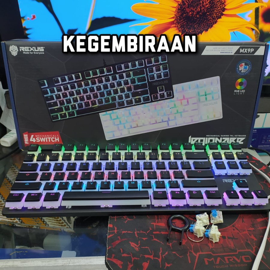 Jual Rexus Keyboard Gaming Mechanical Legionare MX9 Pudding / MX9P TKL ...