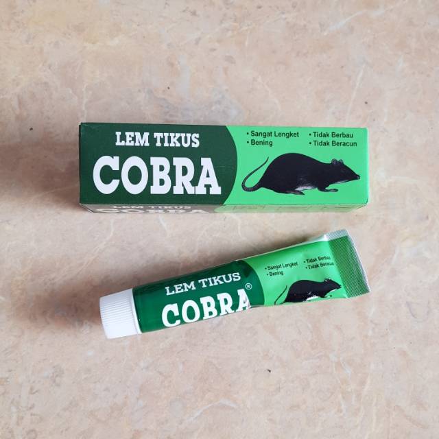Jual Lem Tikus Cobra | Odol Perangkap Jebakan Tikus | Shopee Indonesia