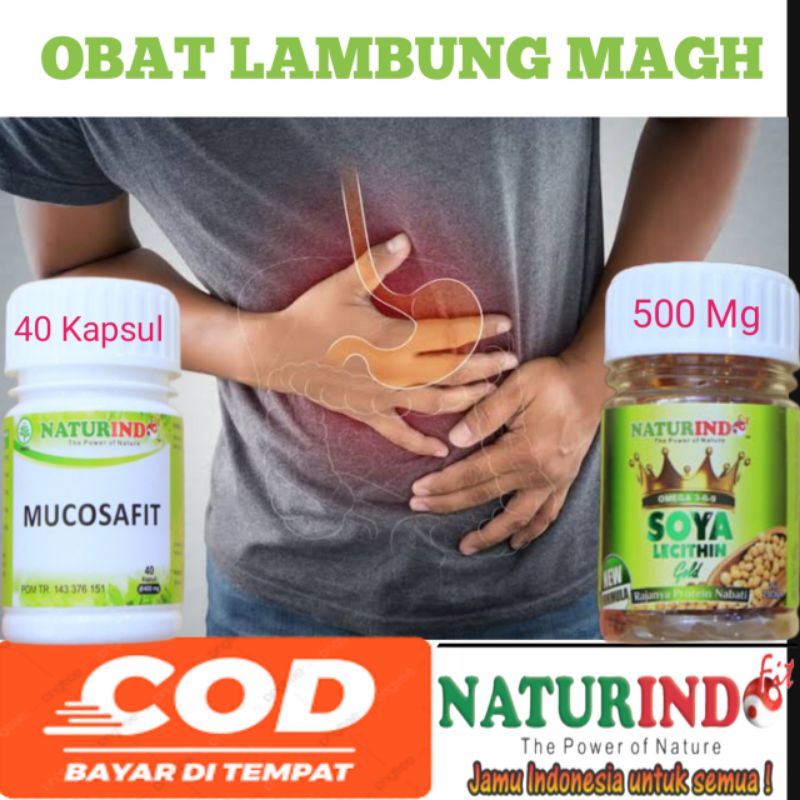 Jual Mucosafit Obat Sakit Lambung Ampuh Magh Gerd Kram Perut Pegal ...