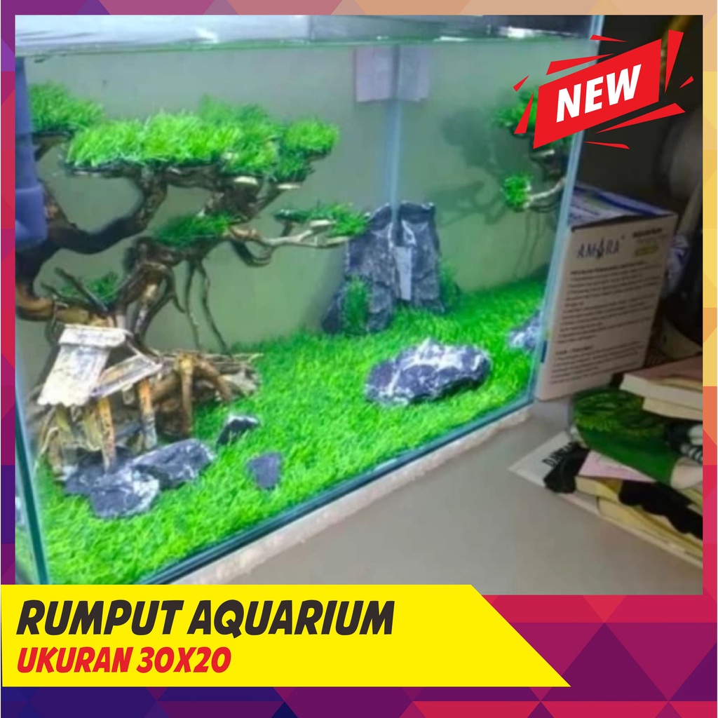 Harga Alas Aquarium Terbaru Okt 2024 |BigGo Indonesia