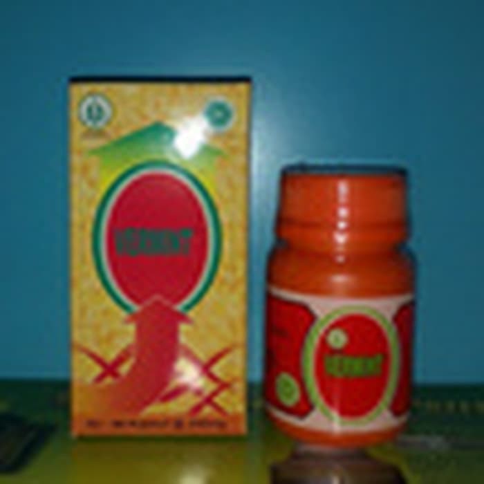 Jual Vermint Besar 30 Kapsul - Obat Demam dan Thypus | Shopee Indonesia