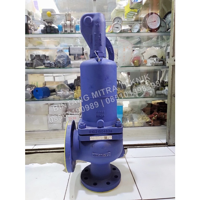 Jual SAFETY VALVE ARI ARMATUREN 12.901 PN16 DN80 x DN125 EN-JL1040 ...