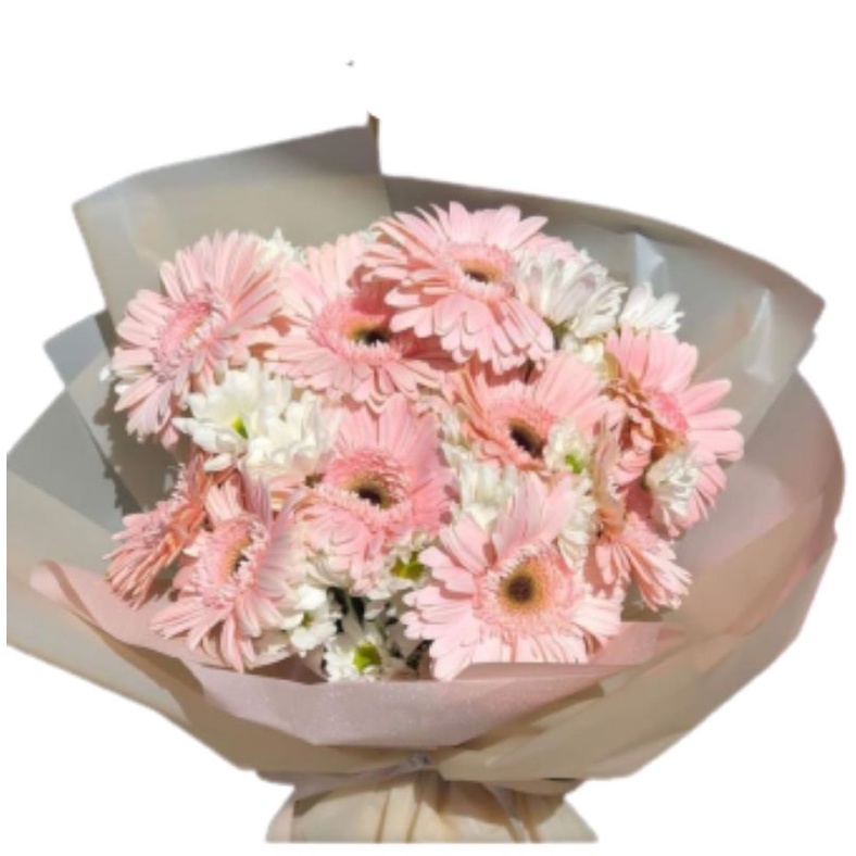 Jual Buket Bouquet Bunga Garbera Aster Fresh Flower Bunga Segar ...