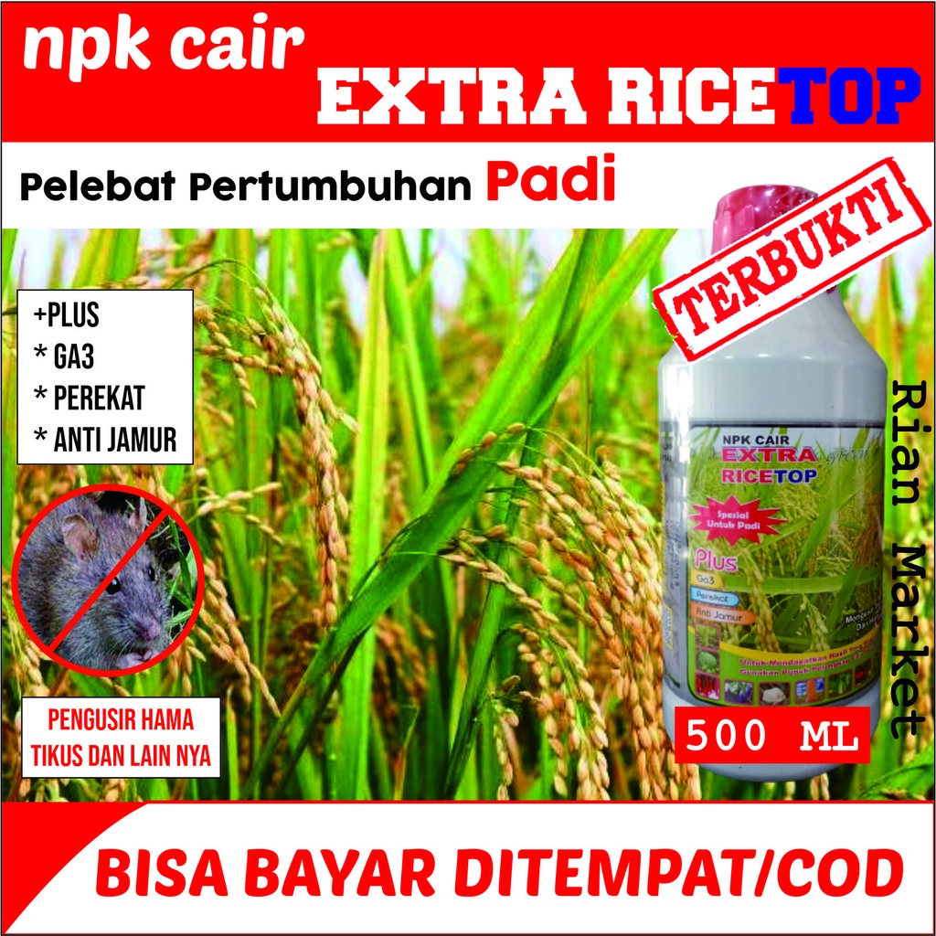 Jual Pupuk Cair Penambah Bobot Padi Paling Bagus - ZPT Penambah obot Padi Terbaik - Pupuk ...