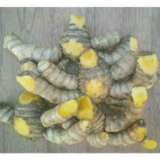 Jual temu giring atau kuning gajah segar 1kg | Shopee Indonesia