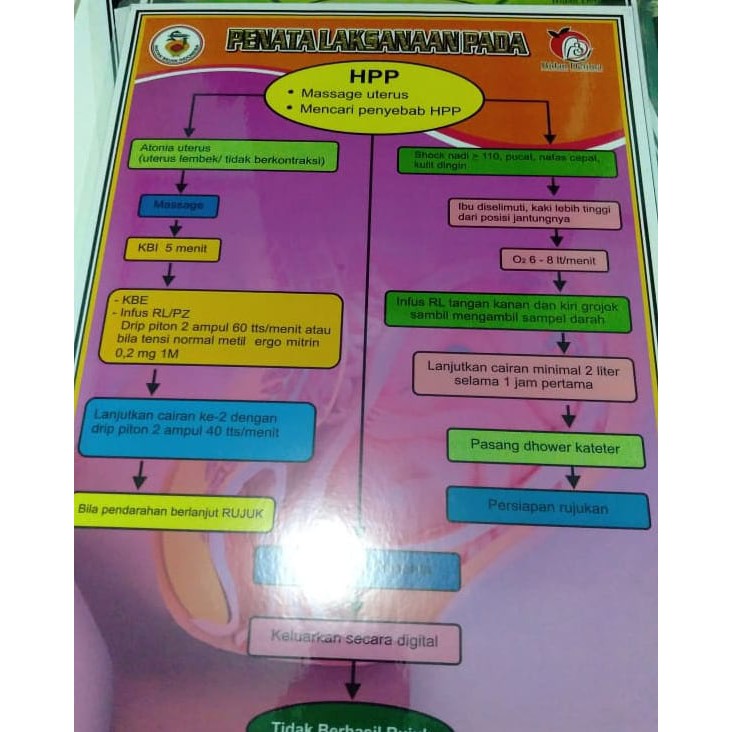 Jual POSTER PENATALAKSANAAN PERDARAHAN POST PARTUM / HPP | Shopee Indonesia