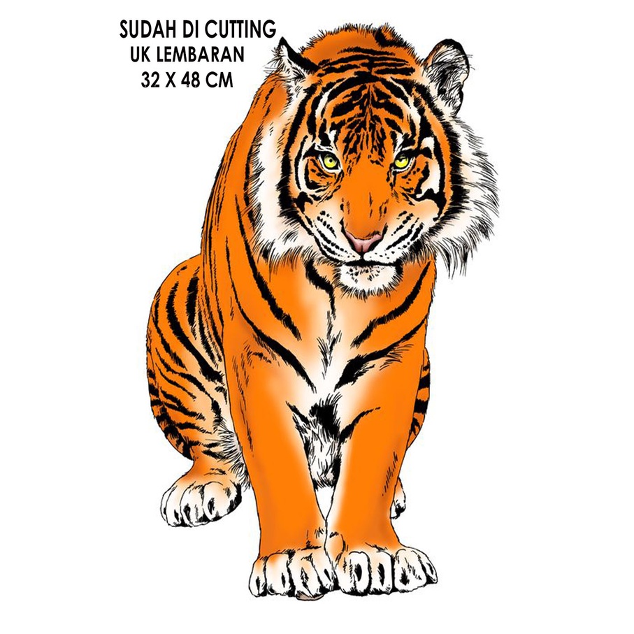 Jual Stiker vinyl sudah di cutting uk 32x48 gambar macan kuning ...