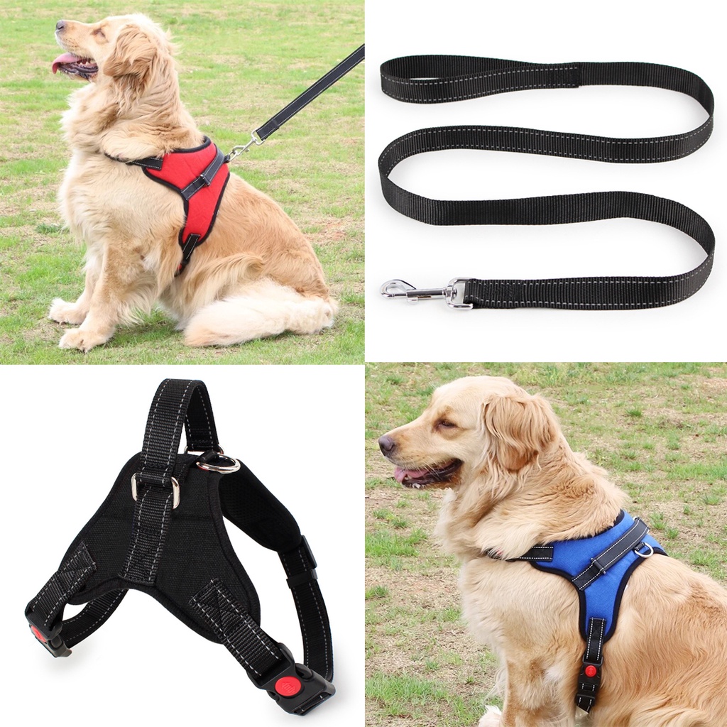 Jual Pet Harness Dog Leash Cat Tebal / Rompi Hewan Anjing Kucing 1 Set ...