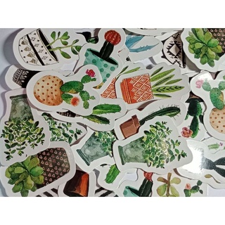 Jual sticker tanaman pot/sticker daun/sticker glossy /sticker unik ...