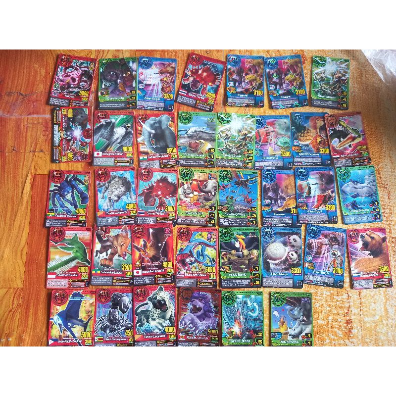 Jual Animal Kaiser Card | Shopee Indonesia