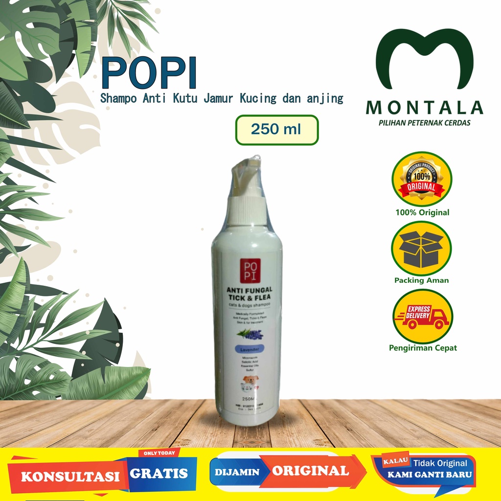 Jual POPI SHAMPO ANTI KUTU JAMUR kucing anjing 250ml ANTI FUNGAL TICK ...