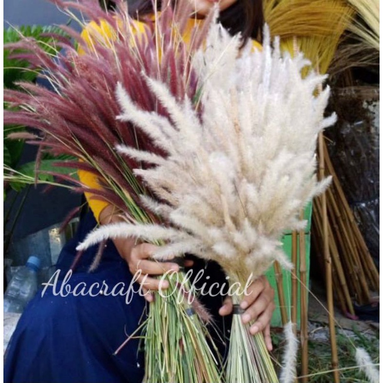 Jual Dekorasi Daun Rustik Kering ALANG ALANG Palem Sikas Pampas Gandum ...