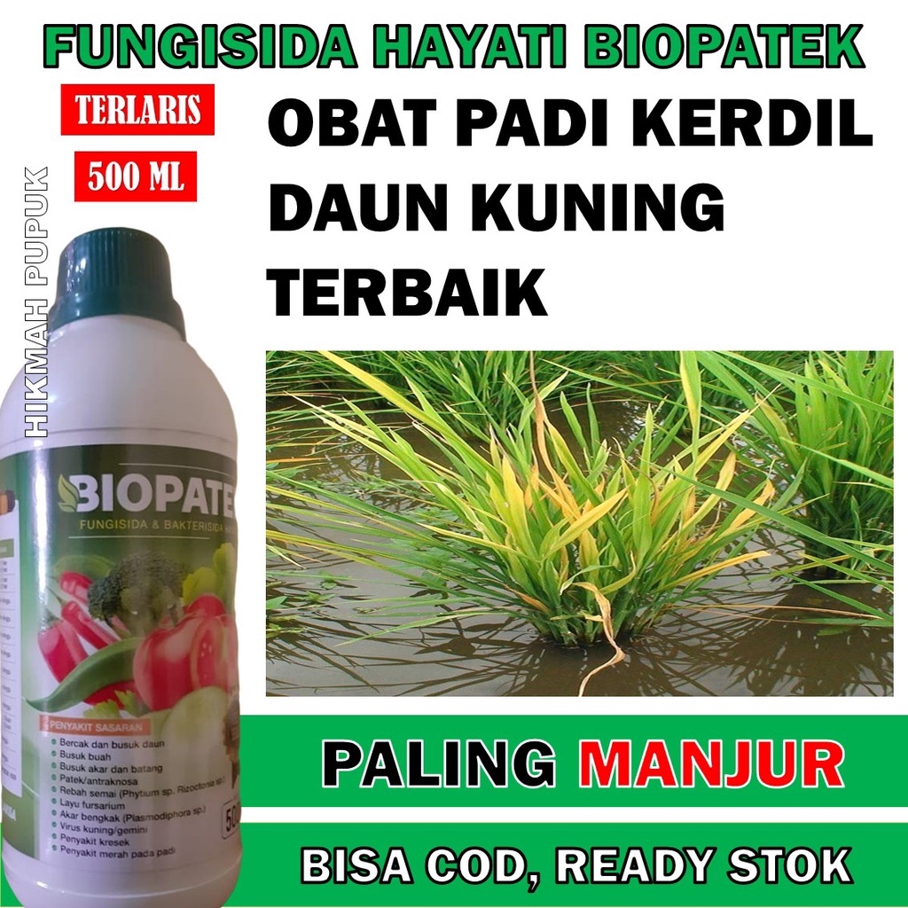 Jual BIOPATEK OBAT PADI KERDIL DAUN KUNING TERBAIK Pupuk Padi Daun Kuning/Virus Kuning/Busuk ...