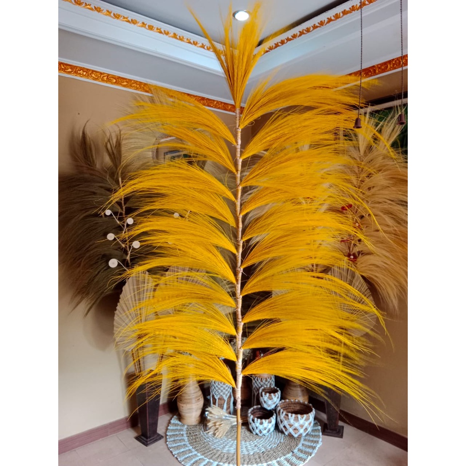 Jual Bunga Kering Pampas Rayung Kuning Kering Dekorasi Murah Rayung ...