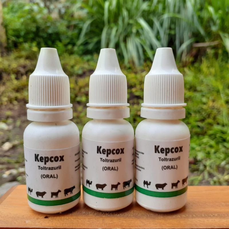 Jual Kepcox Obat Koksi Untuk Kelinci - Obat Diare/Mencret Parah Pada ... Jual Kepcox Obat Koksi Untuk Kelinci - Obat Diare/Mencret Parah Pada ...