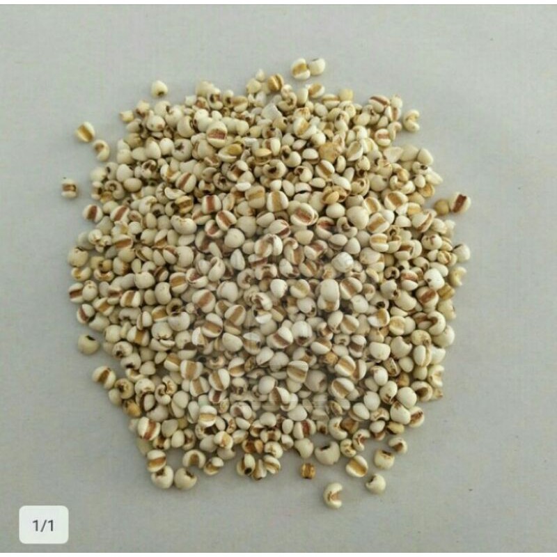 Jual Barley super/biji jali jali isi 100gr | Shopee Indonesia