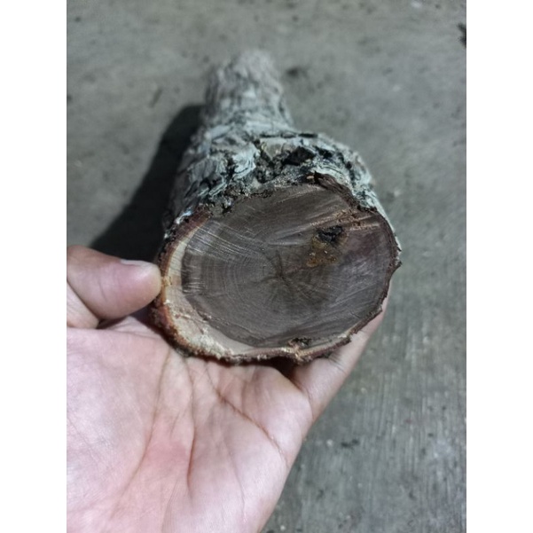 Jual bahan kayu galih stigi/setigi wulung asli ful bahan galih original ...