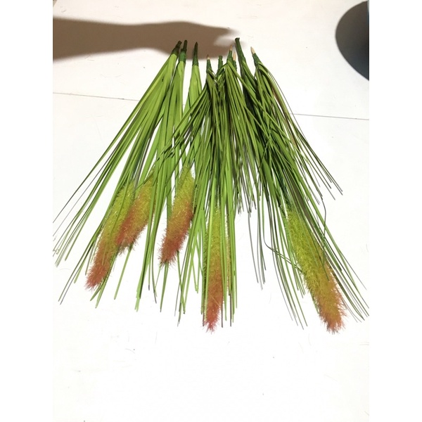 Jual rumput alang alang sepaket real pict 40cm | Shopee Indonesia