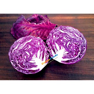 Jual Kol Ungu | Lokal [Berat 0.4-0.7 Kg/Buah] Harga Per KG | Shopee ...