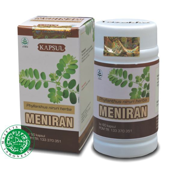 herbal kapsul meniran original tazakka mengobati liver sakit kuning ...
