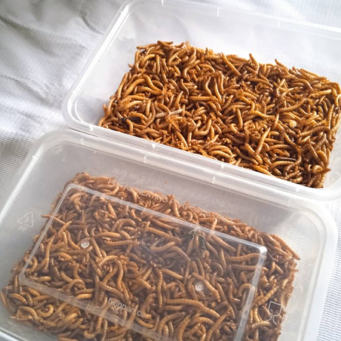 Jual Ulat Hongkong Organik Hidup Makanan burung 100 Gram | Shopee Indonesia