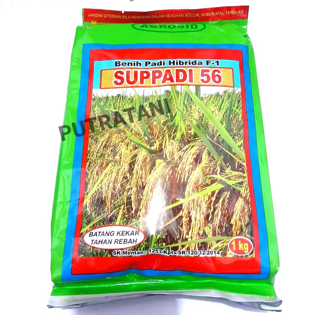 Harga Supadi Terbaru Juni 2022 | BigGo Indonesia