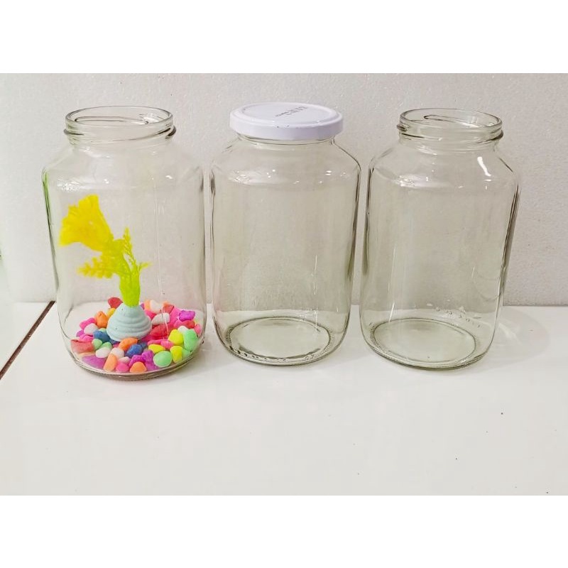 Jual Botol ikan cupang botol ceri mini ukuran 700ml botol kaca per 1pcs ...