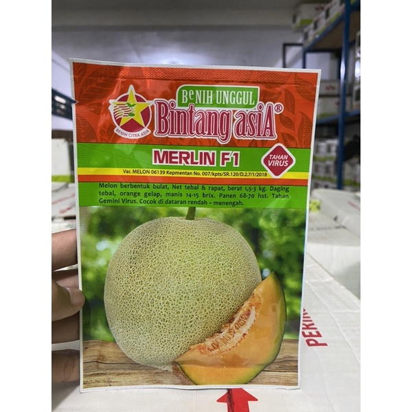 Jual BENIH MELON ORANGE MERLIN 20GR | Shopee Indonesia
